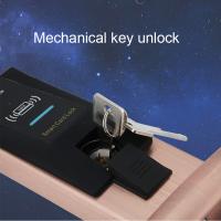 China Security Electronic Rfid Carmen Lock Hotel Hotel Lock System Intelligent Door Lock Management Software System for sale