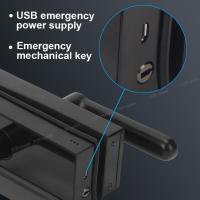 China High Compartment Partition Door Fingerprint Lock Password Lock IC Card Key Glass Door Lock for sale