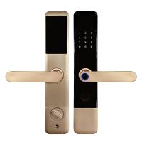 China Gold I apartment home electronic fingerprint digital graffiti TT lock security intelligent door lock production for sale
