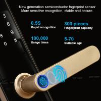 China Gold I apartment home electronic fingerprint digital graffiti TT lock security intelligent door lock production for sale