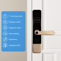 China Gold I apartment home electronic fingerprint digital graffiti TT lock security intelligent door lock production for sale