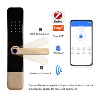 China Gold I apartment home electronic fingerprint digital graffiti TT lock security intelligent door lock production for sale