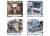 China Spice Powder Packing Machine 10g-600g Automatic Flour Bag Packing Machine for sale