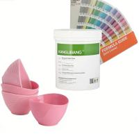China Liquid Silicone Color Paste for Molding Extrusion Silicone for sale
