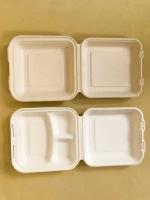 China Fully Automatic Biodegradable Paper Plate / Paper Bowl / Food Container Making Machine Paper Pulp Moulding Machine Deyi Brand for sale