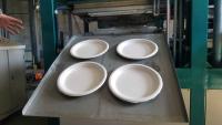 China Biodegradable bagasse paper pulp molding plate cup tableware making machine for sale