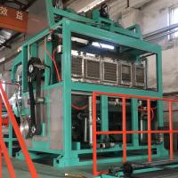 China Advanced paper pulp moulding biodegradable egg tray machine production line with competitive price for sale