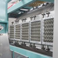China automatic  cheap and fine egg tray making machine for sale