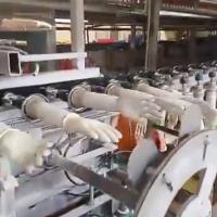 China 2020 Nitrile Hand Gloves Making Machine with good price for sale