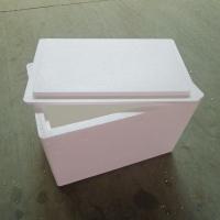 China Expandable Polystyrene Machine Icf Molding Eps Foam Fish/Fruit Box Making Machine for sale