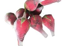 China Hot-selling star product Pp Pe Plastic Knotless Packaging Net Making Machine/plastic Fruit Package Mesh Machine for sale