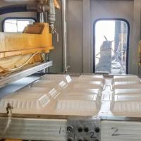 China Disposable PS Foam Tray/Bowl/Plate thermoforming machine, PS Foam Lunch Box Making Machine for sale