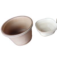 China Biodegradable disposable plates bagasse pulp moulding machine for lunch box for sale