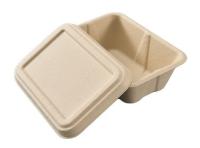 China Biodegradable disposable plates bagasse pulp moulding machine for lunch box for sale