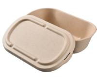 China Biodegradable disposable plates bagasse pulp moulding machine for lunch box for sale