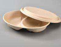 China Biodegradable disposable plates bagasse pulp moulding machine for lunch box for sale