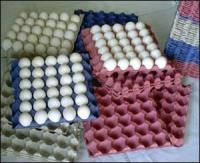 China High Quality Automatic 1000 pcs/h Small Paper Pulp Molding Egg Carton Egg Tray Making Machine Production Line for sale