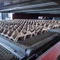 China Recycle Waste Paper Box Farm Making Egg Tray Carton Making Machine Production Line 3800-4000 Pieces/ Hour Production Capacity for sale