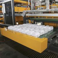 China disposable ps foam food box thermoforming machine for sale