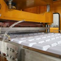 China disposable ps foam styrofoam thermocol plates fast food take away packaging lunch box production making machine for sale