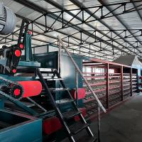 China Waste Paper Recycling Egg Carton Tray Machine New Cheap Price Small Business Fully Automatic Paper Pulp Egg Tray Production Line for sale