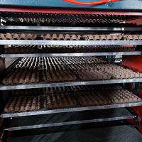 China Waste Paper Recycling Egg Carton Tray Machine New Cheap Price Small Business Fully Automatic Paper Pulp Egg Tray Production Line for sale