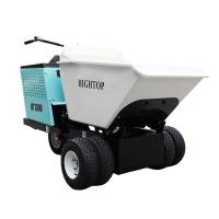 China 1300 kg Load Capacity 13.5 HP Engine Hydraulic Mini Crawler Dumper for Construction for sale