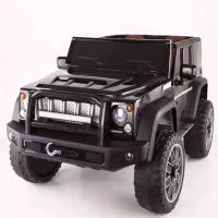 China 12V 2-Seater Kids Ride On Car with Remote Control Music Education for Ages 2-13 for sale