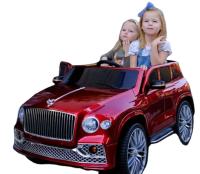 China 12V 2 Seater Kids Electric Ride On Car with 380 Motor 12V7A Battery for Toddlers for sale