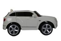 China Plastic 6v or 12v Electric Ride On Car with Remote Control from Authorized for sale