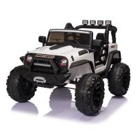 China 12V Pink Electric Ride On Car for Girls with Remote Control 174PCS 40HQ for sale