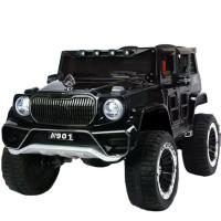 China 12V10 Two-Seater Electric Ride On Car for Kids Ages 2-7 with Remote Control for sale