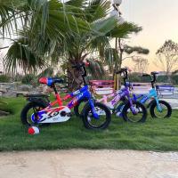 China 16 Inch Unisex Kids Folding Bike with 2.125 Tires for Ages 2-14 for sale
