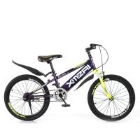 China 20 Inch Kids Folding Mountain Bike with Shock Absorbing Front Fork and 25T High Knife Rim for sale
