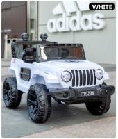 China Kids 12V Electric 2 Seater Ride On Car with Remote Control Plastic 118x65x70cm for sale