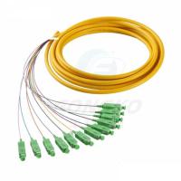 China 12F FTTH Fiber Optic Pigtails SC APC UPC SM G.657A1 Fibre Optica Cable for sale