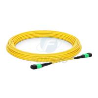 China MPO  APC singlemode 1 meter 10G fiber jumper 8 12 24core 40G100G 1310 1550NM support customization for sale