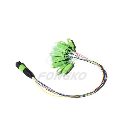 China 24 Fiber MTP MPO Patch Cable Male Fanout Single Mode Jumpers 0.5m for sale