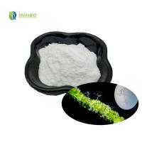 China Spongilla Lacustris Extract Powder 99% Hydrolyzed Sponge Spicules Cosmetic Material 80 Mesh for sale