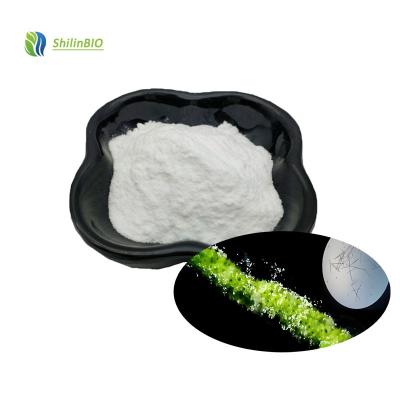 China Spongilla Lacustris Extract Powder 99% Hydrolyzed Sponge Spicules Cosmetic Material 80 Mesh for sale