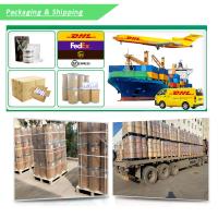 China garlic Extract Powder for sale