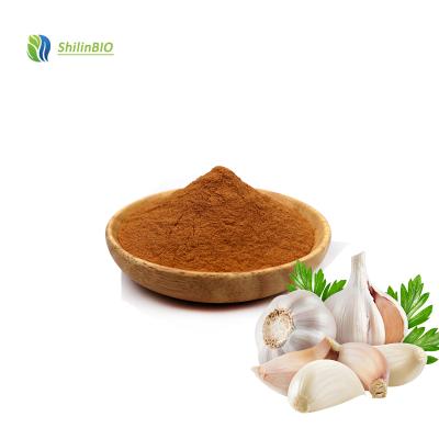 China Garlic Extract Powder 10:1 Food Grade with 5% Allicin Content - Black Garlic Concentrate for sale