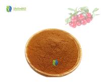 China Schisandra Berry Extract Powder 1% 2% 3% Schizandrin B - Liver Protection & Antioxidant Supplement for sale
