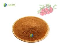 China Schisandra Berry Extract Powder 1% 2% 3% Schizandrin B - Liver Protection & Antioxidant Supplement for sale