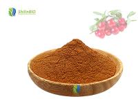 China Schisandra Berry Extract Powder 1% 2% 3% Schizandrin B - Liver Protection & Antioxidant Supplement for sale