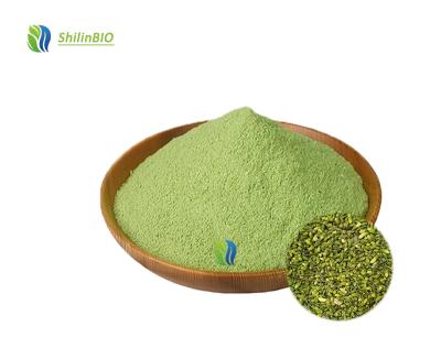 China 98% Quercetin Dihydrate Powder Natural Sophora Japonica Extract 95-98% Purity HPLC Tested for sale