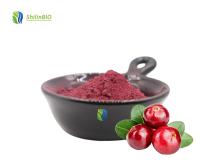 China Pure Natural Cranberry Extract Powder 25% Anthocyanin Proanthocyanidins 1-25% for sale