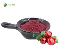 China Pure Natural Cranberry Extract Powder 25% Anthocyanin Proanthocyanidins 1-25% for sale