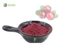 China Pure Natural Cranberry Extract Powder 25% Anthocyanin Proanthocyanidins 1-25% for sale