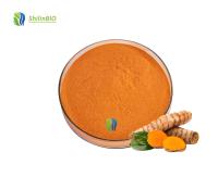 China Pure Turmeric Powder Curcuma Longa Extract Turmeric Root Extract  95% curcuminoids Curcumin Powder for sale